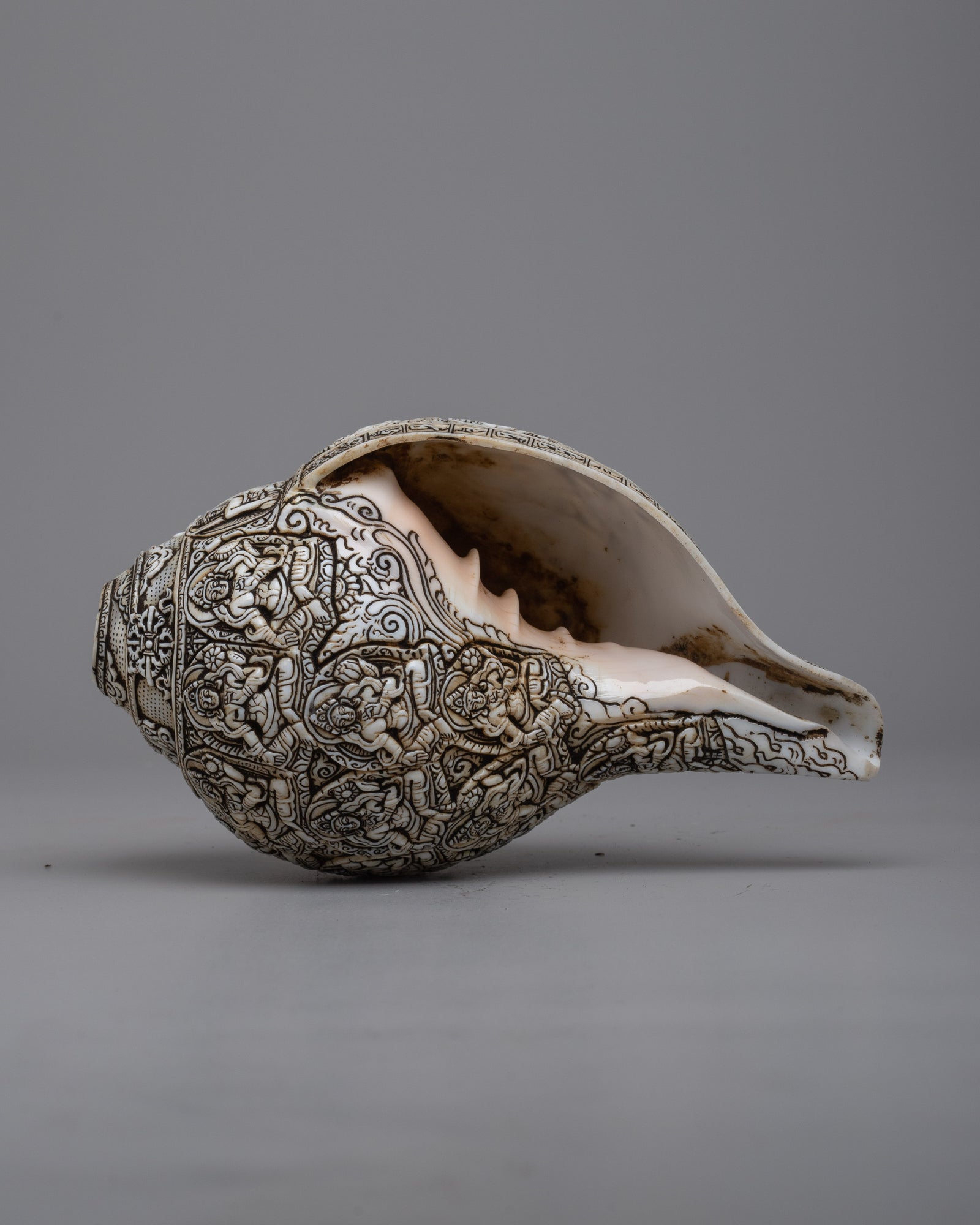 Deities Carved Buddhist Sankha | Unveiling Spiritual Mastery of Artist