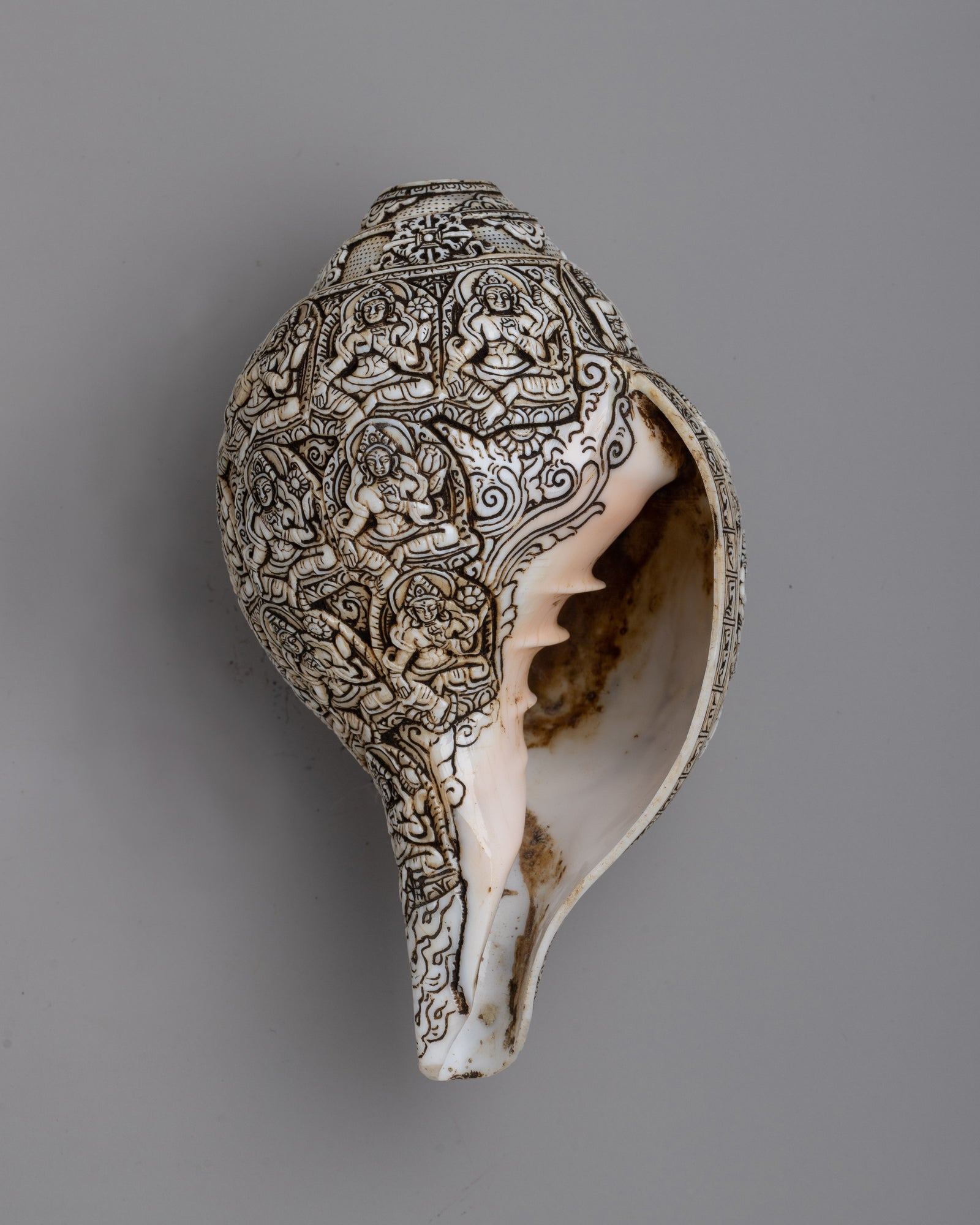 Deities Carved Buddhist Sankha | Unveiling Spiritual Mastery of Artist